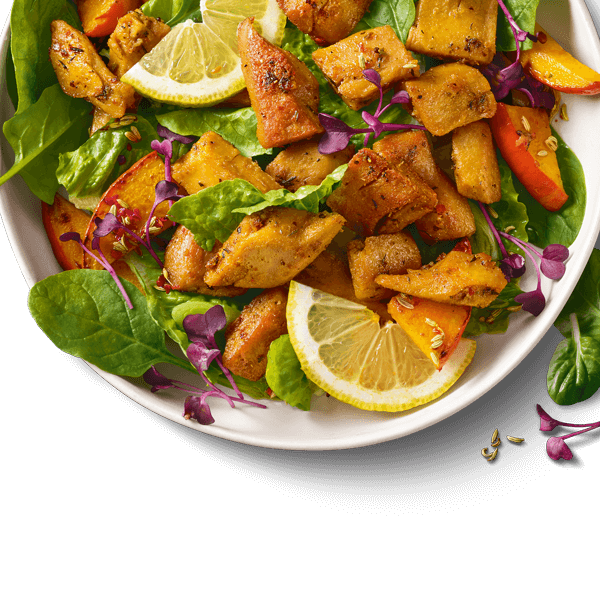 Mycoprotein info – Planted Foods CH